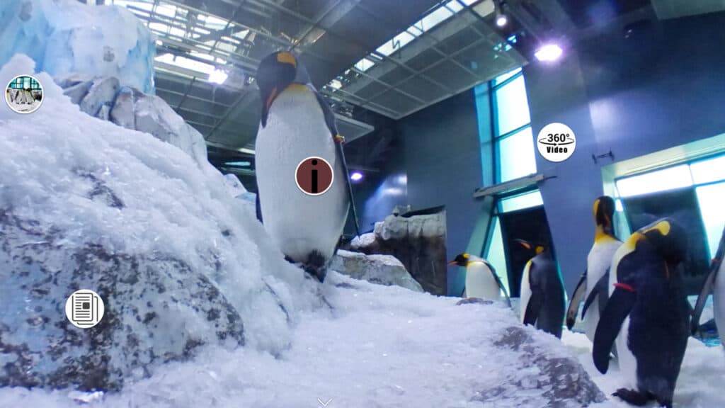 360° Experience | Penguins - Detroit PBS